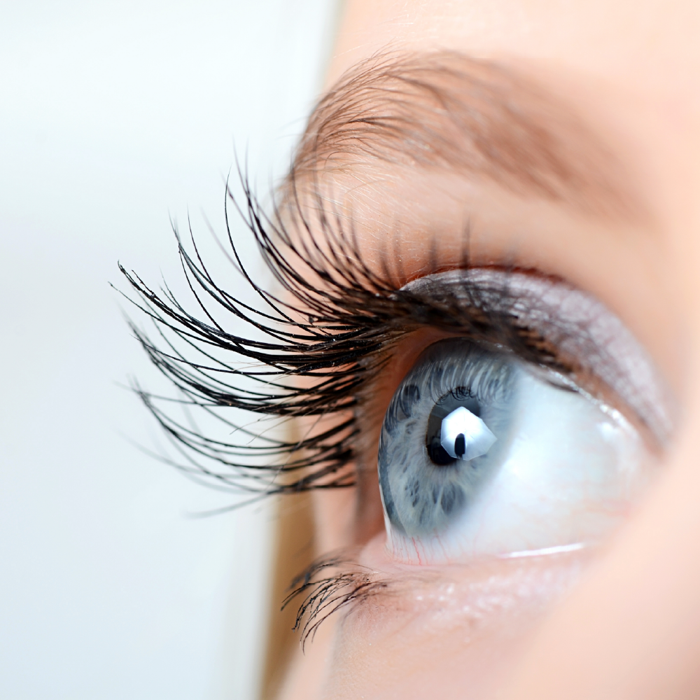 blood-01.png?v=1741805244